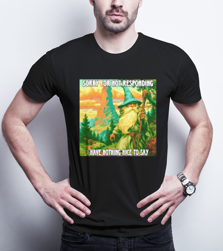 Sorry For Not Responding I Have Nothing Nice To Say Wizard Scene T-Shirt