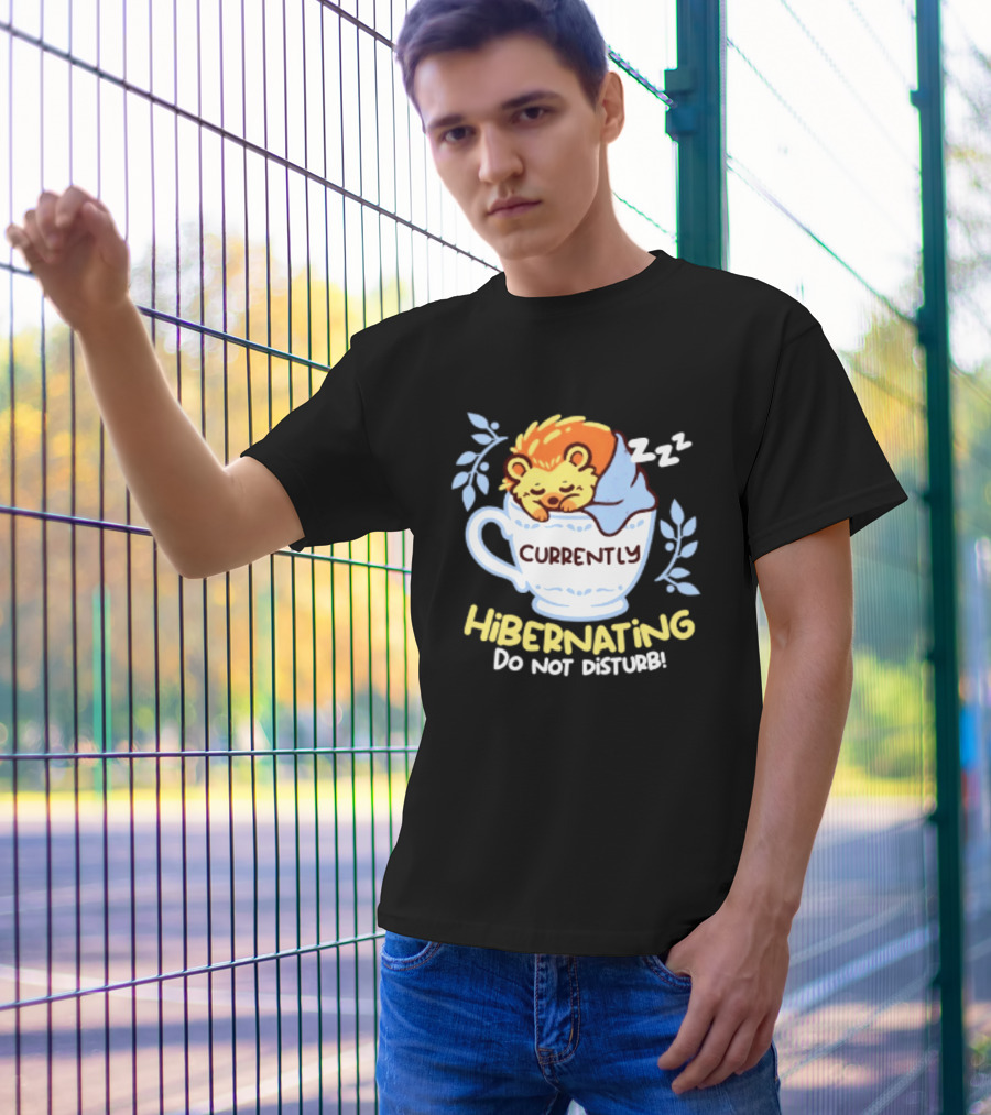 Currently Hibernating Do Not Disturb Hedgehog In Teacup Python T-Shirt