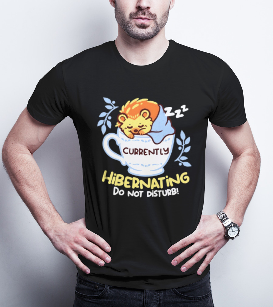 Currently Hibernating Do Not Disturb Hedgehog In Teacup Python T-Shirt