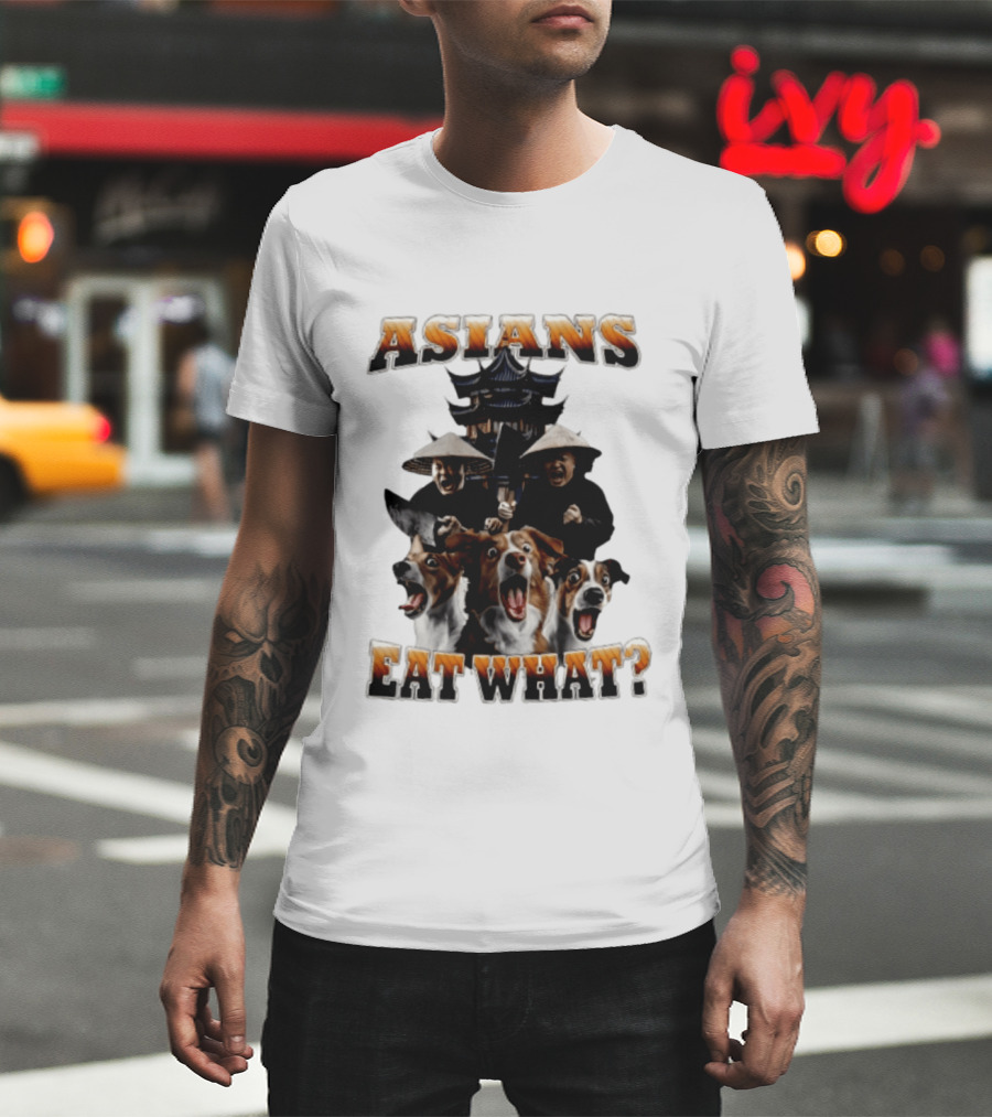 Asians Eat What Pagoda And Dogs Offensive Meme T-Shirt