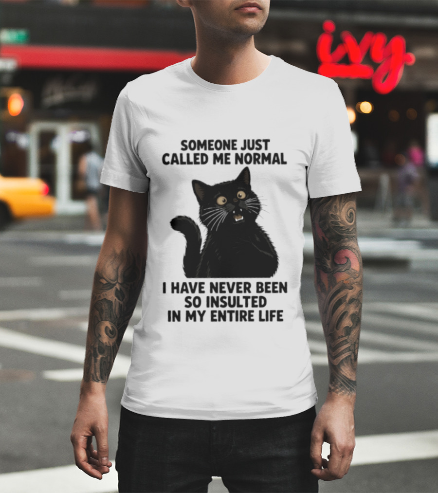 Someone Just Called Me Normal Black Cat Humor Never Been So Insulted In My Entire Life T-Shirt