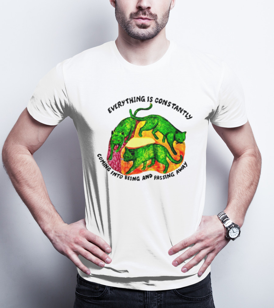 Everything Is Constantly Coming Into Being And Passing Away Cats Trio T-Shirt