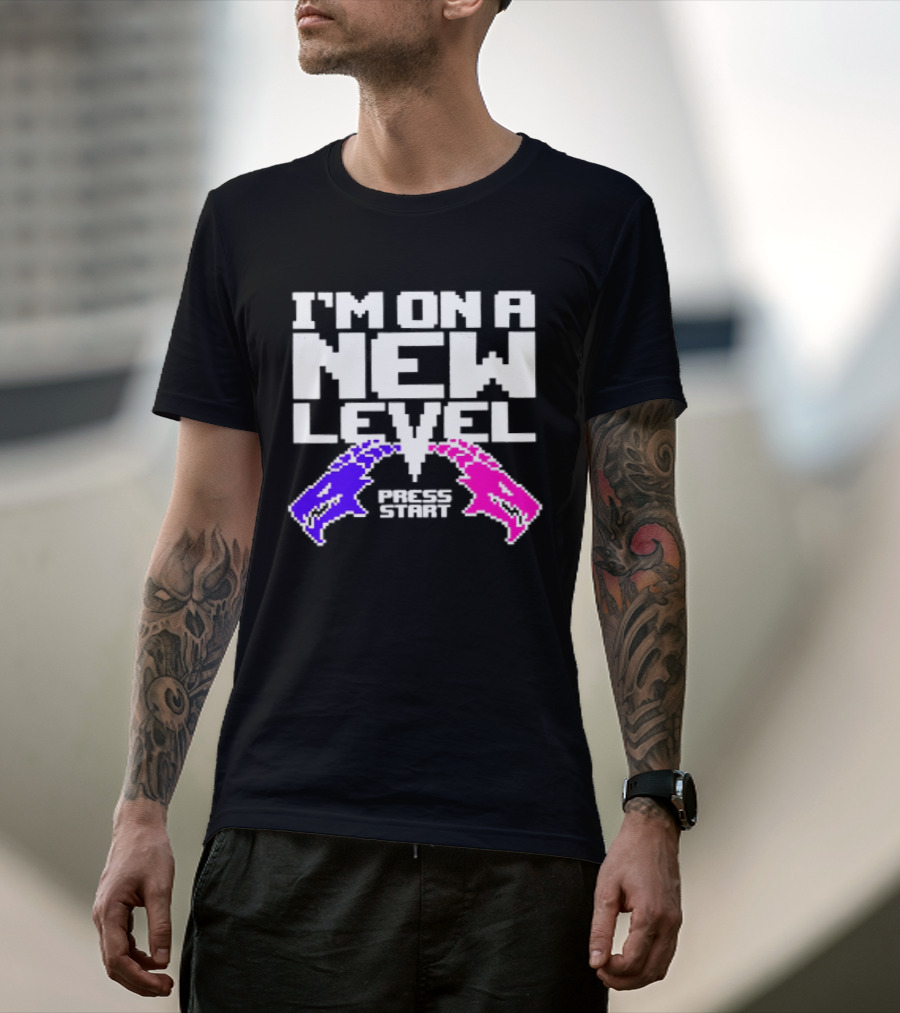 I'm On A New Level Dragons Fight Stuff T-Shirt