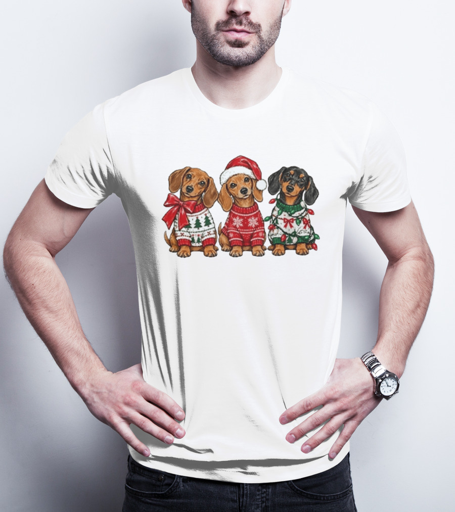 Cozy Christmas Dachshund Trio In Festive Sweaters With Santa Hat T-Shirt