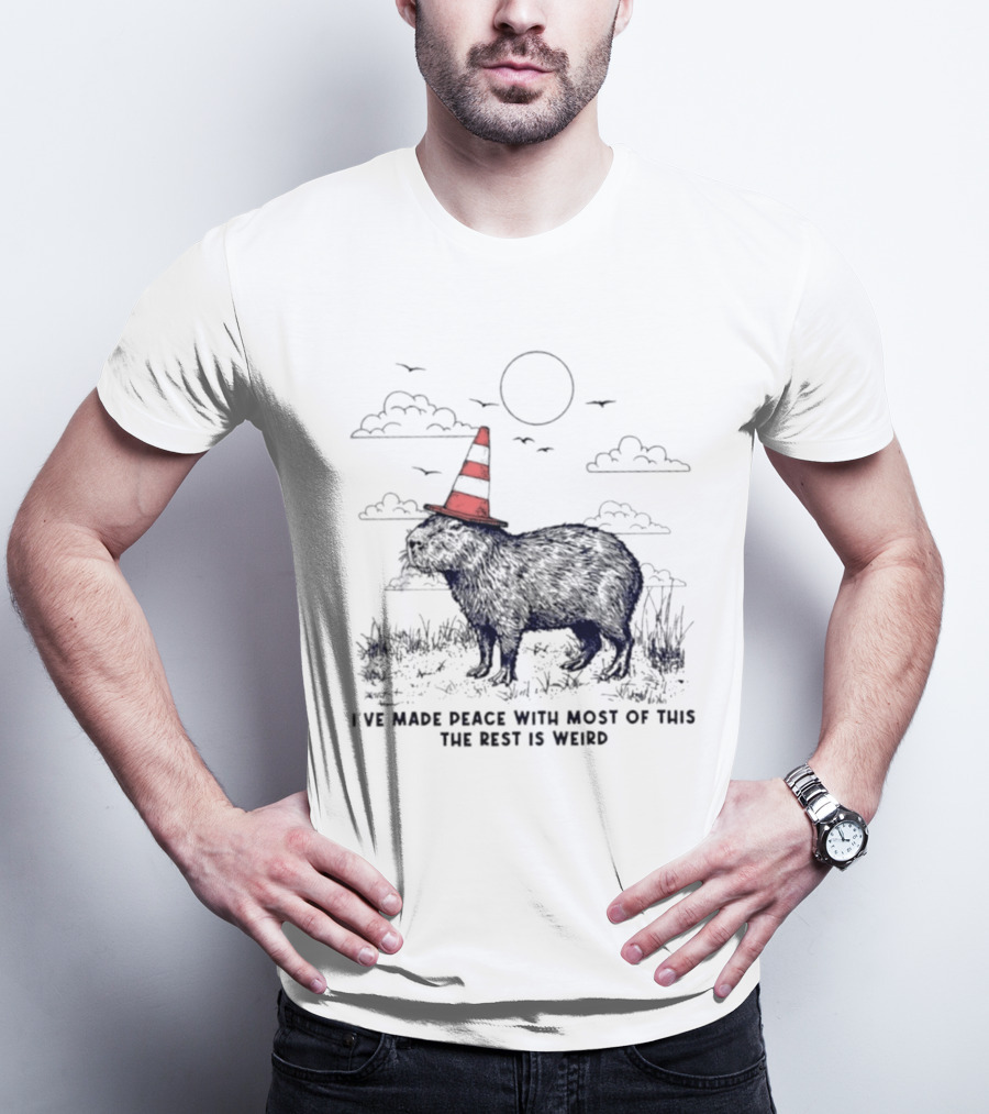 Capybara With Cone Hat Peaceful Yet Weird Scene I've Made Peace With Most Of This T-Shirt