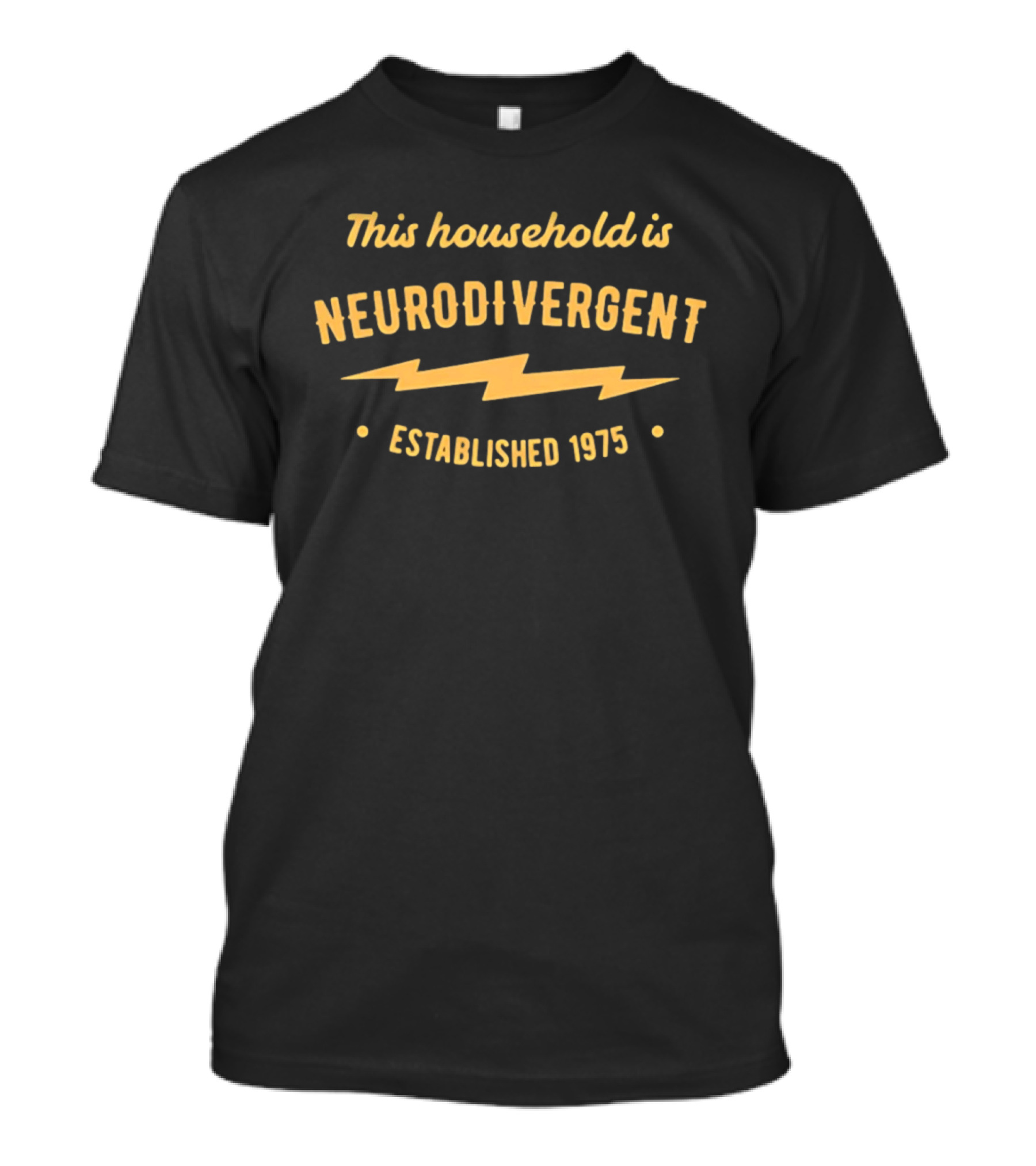 This Household Is Neurodivergent Established 1975 Lightning Bolt T-Shirt