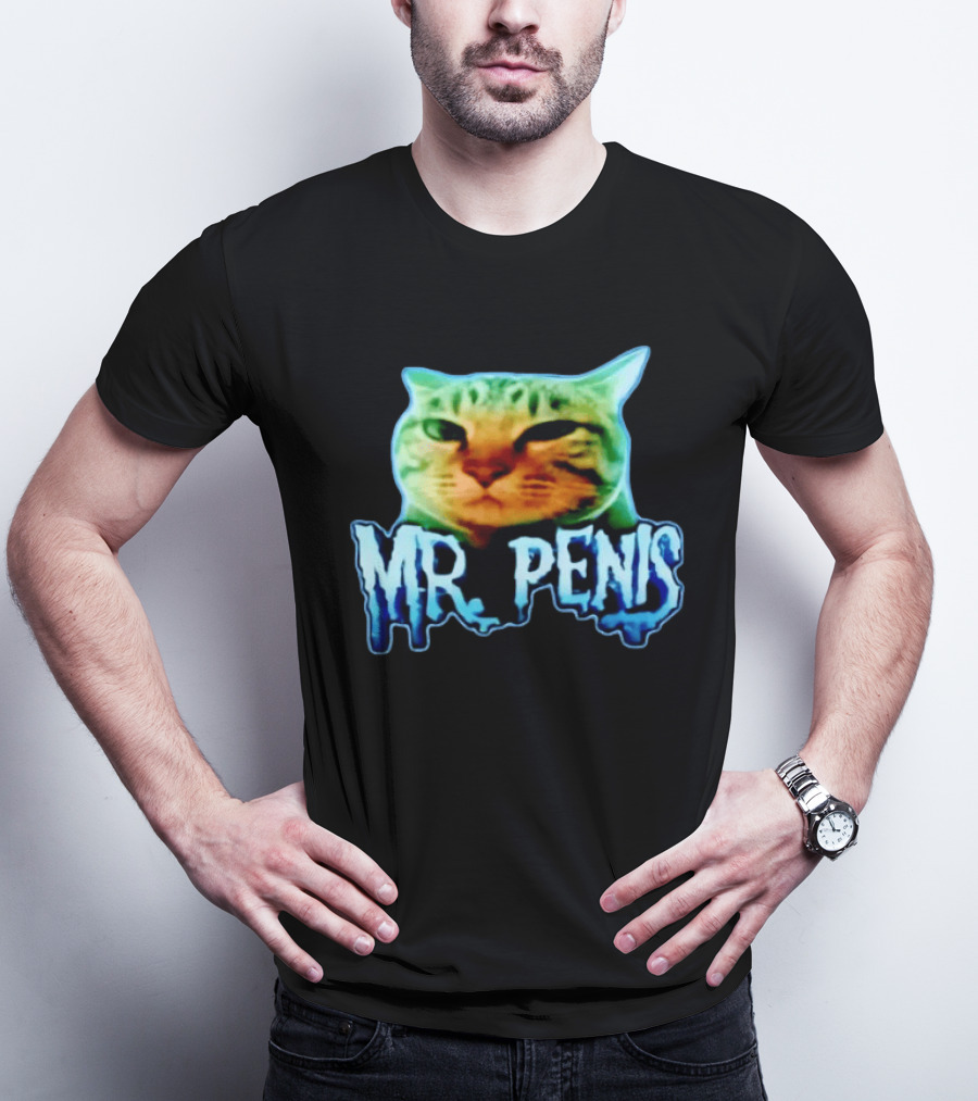 Mr Penis Cat Bold Neon Feline Face T-Shirt