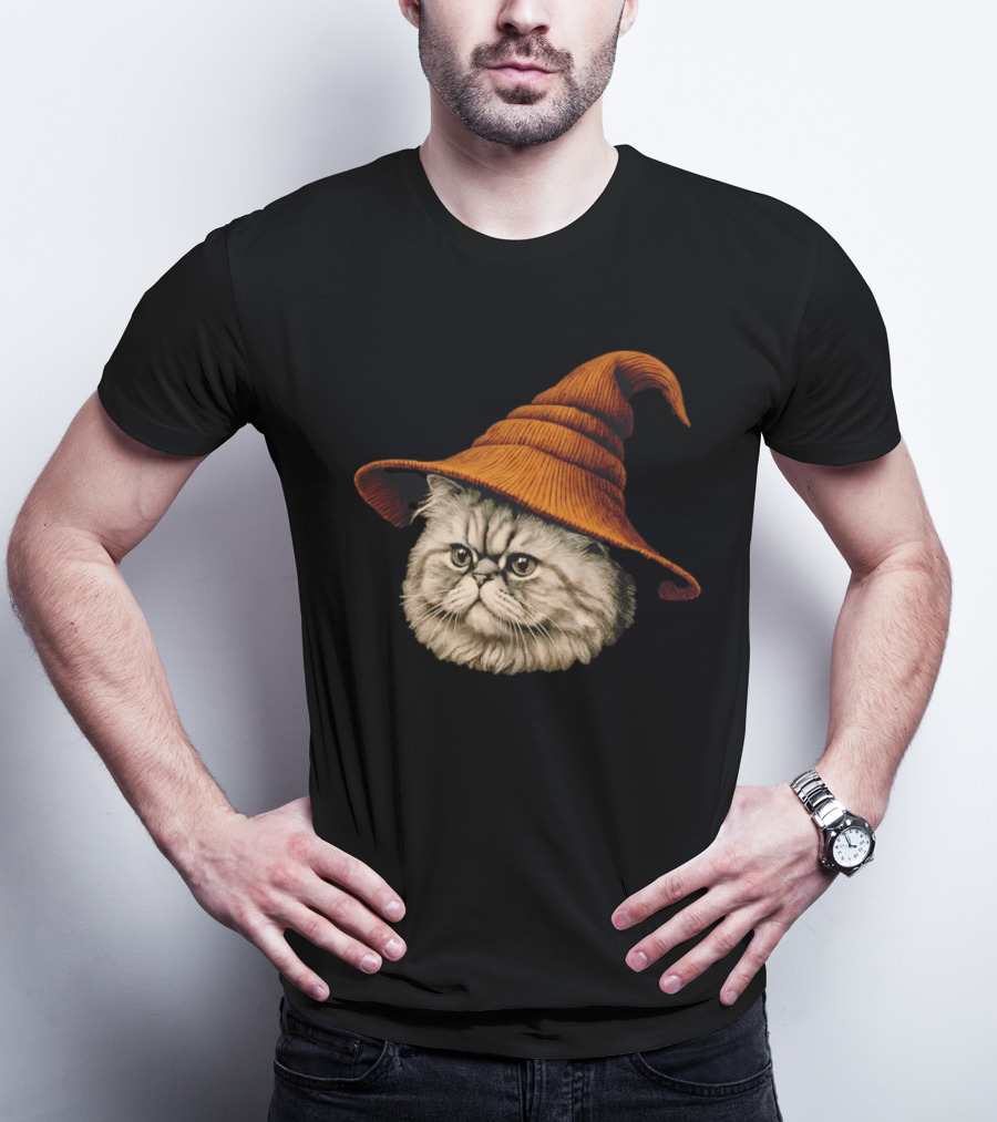 Beanie Cat Wizard Cartoon Plush Orange Hat Feline T-Shirt