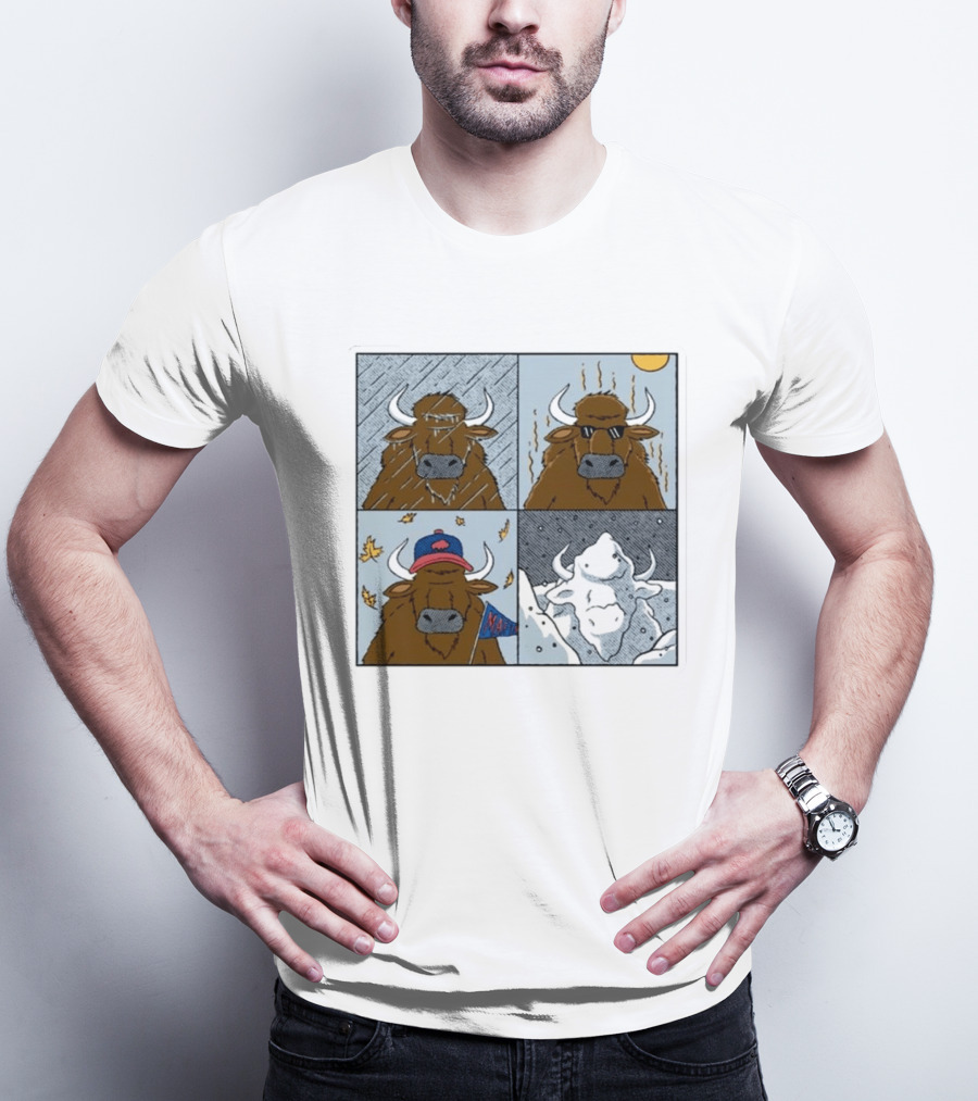 Buffalo Bills Seasons Buffalo Cartoon NFL Sports Fan T-Shirt