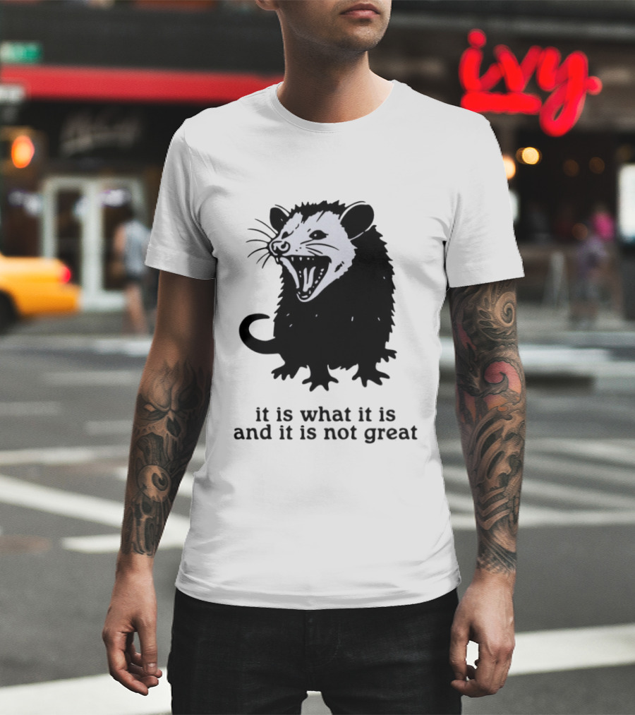 It Is What It Is And It Is Not Great Opossum T-Shirt