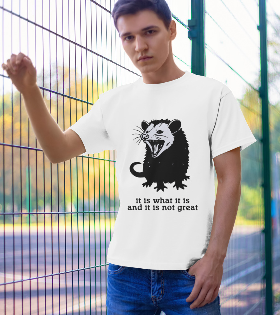 It Is What It Is And It Is Not Great Opossum T-Shirt