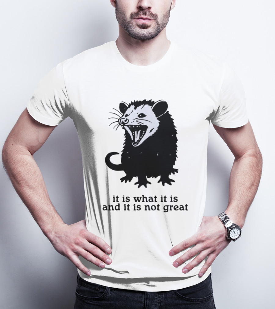 It Is What It Is And It Is Not Great Opossum T-Shirt