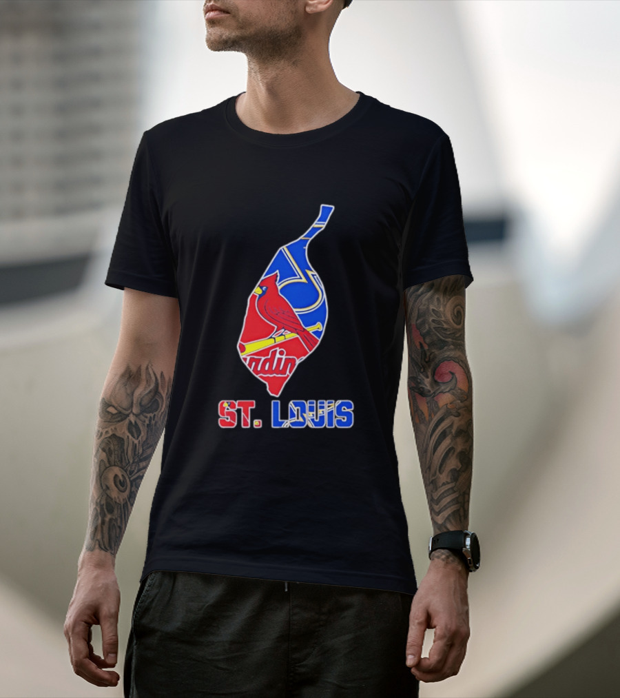 St. Louis Cardinals And Blues Team Spirit T-Shirt