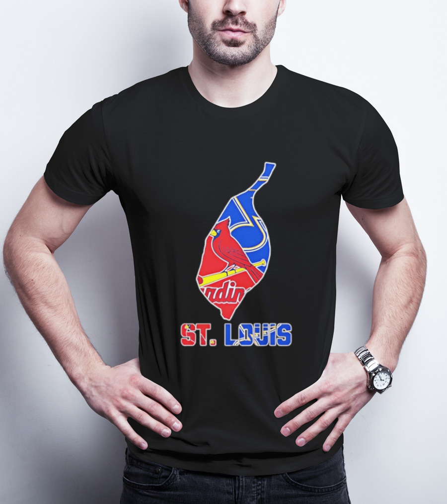 St. Louis Cardinals And Blues Team Spirit T-Shirt