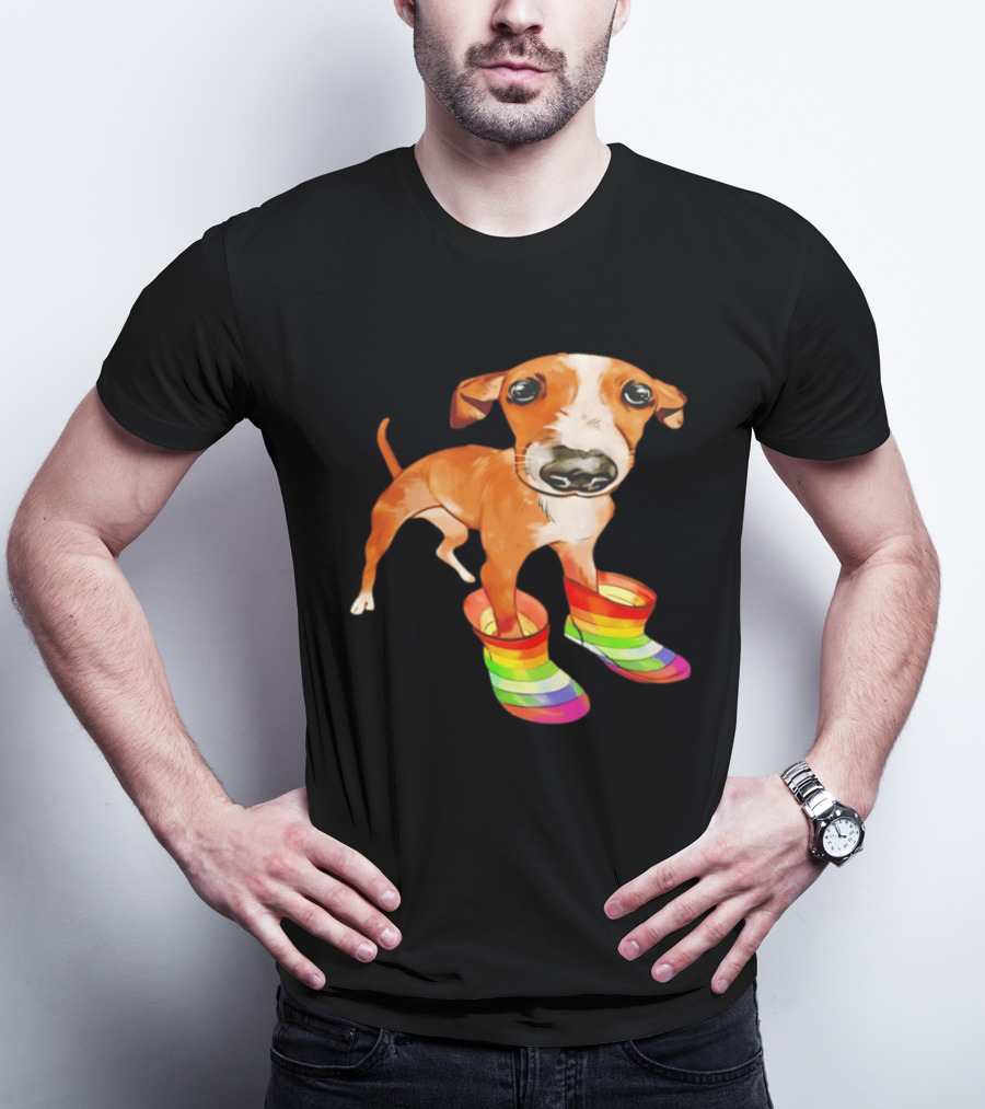 Doggie Rainbow Rainboots Puppy In Colorful Boots T-Shirt
