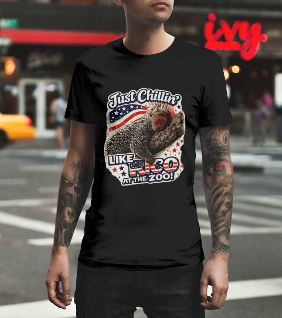 Just Chillin' Like Rico At The Zoo Patriotic Porcupine Vibes T-Shirt