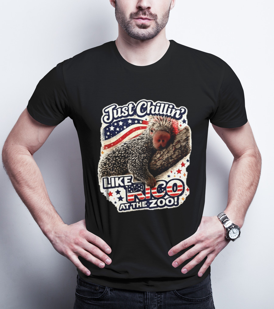 Just Chillin' Like Rico At The Zoo Patriotic Porcupine Vibes T-Shirt