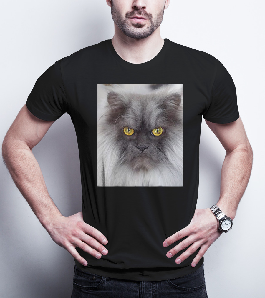 Jun The Angry Cat Golden Eyes Grumpy Expression T-Shirt