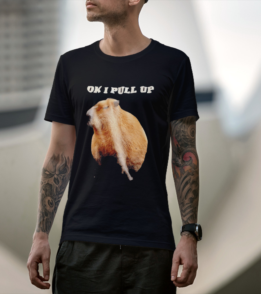 Ok I Pull Up Capybara Meme T-Shirt