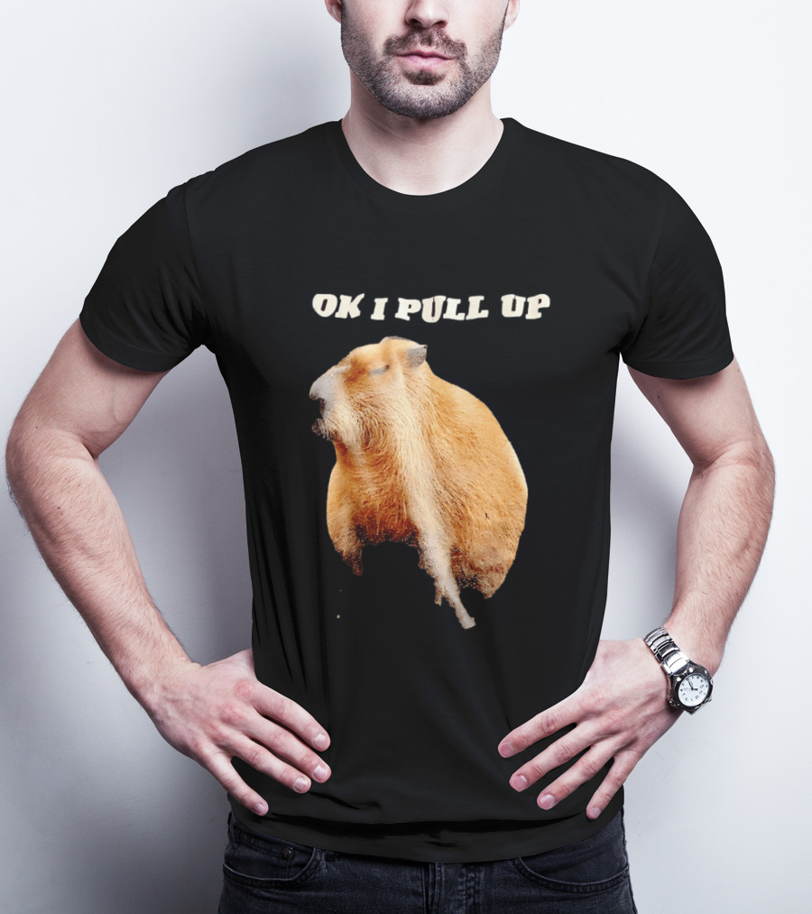 Ok I Pull Up Capybara Meme T-Shirt