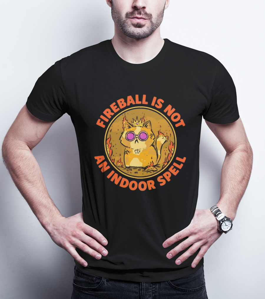 Princess Donut Fireball Is Not An Indoor Spell Dungeon Crawler Carl T-Shirt