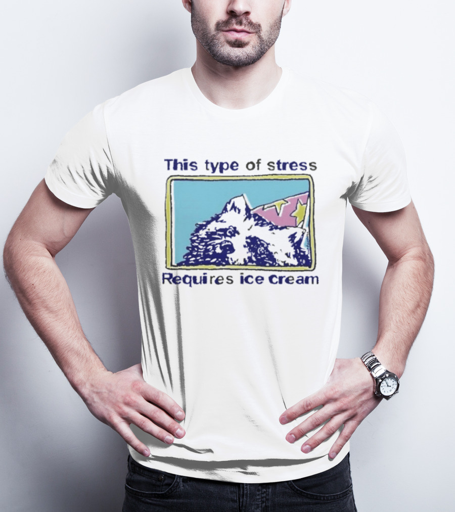 This Type Of Stress Requires Ice Cream Raccoon Meme T-Shirt