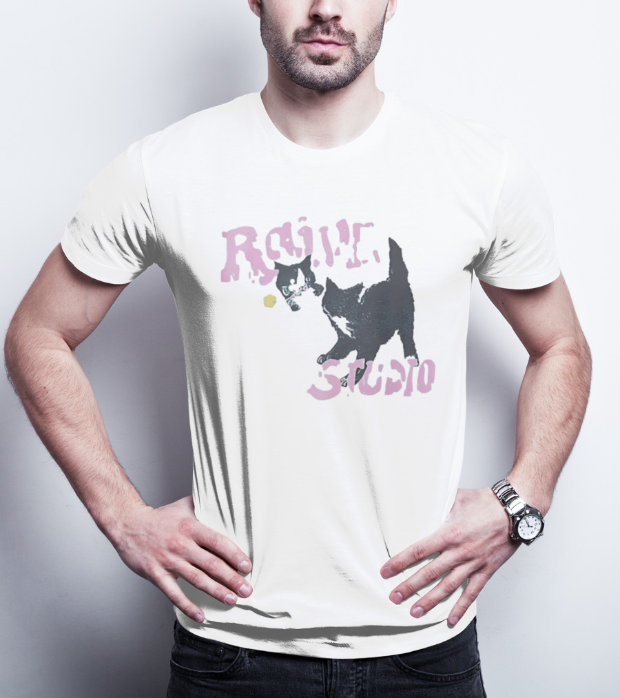 Raive Studio Cats Kitten Playful Black Cat T-Shirt