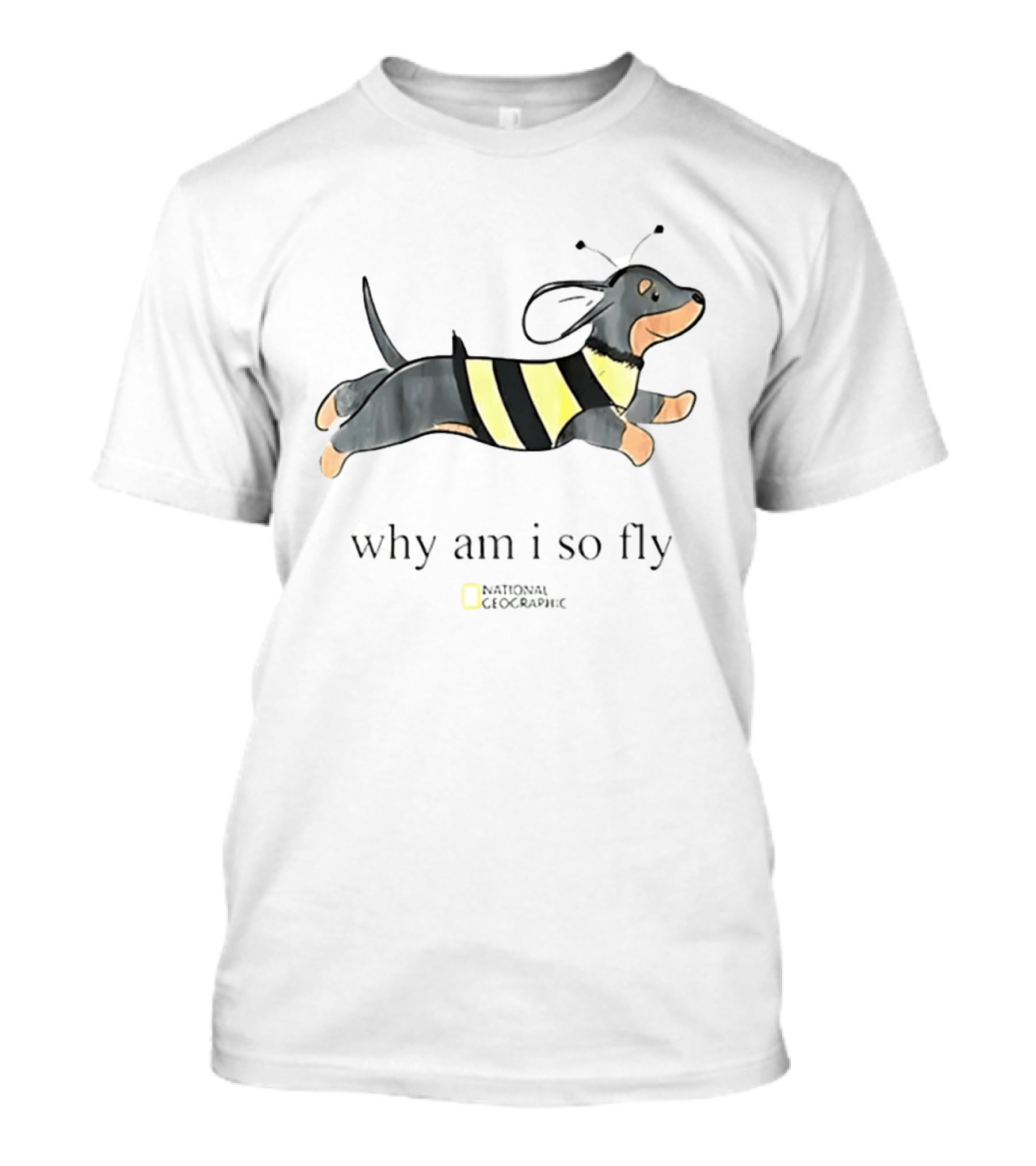 Why Am I So Fly Dachshund Bee National Geographic T-Shirt