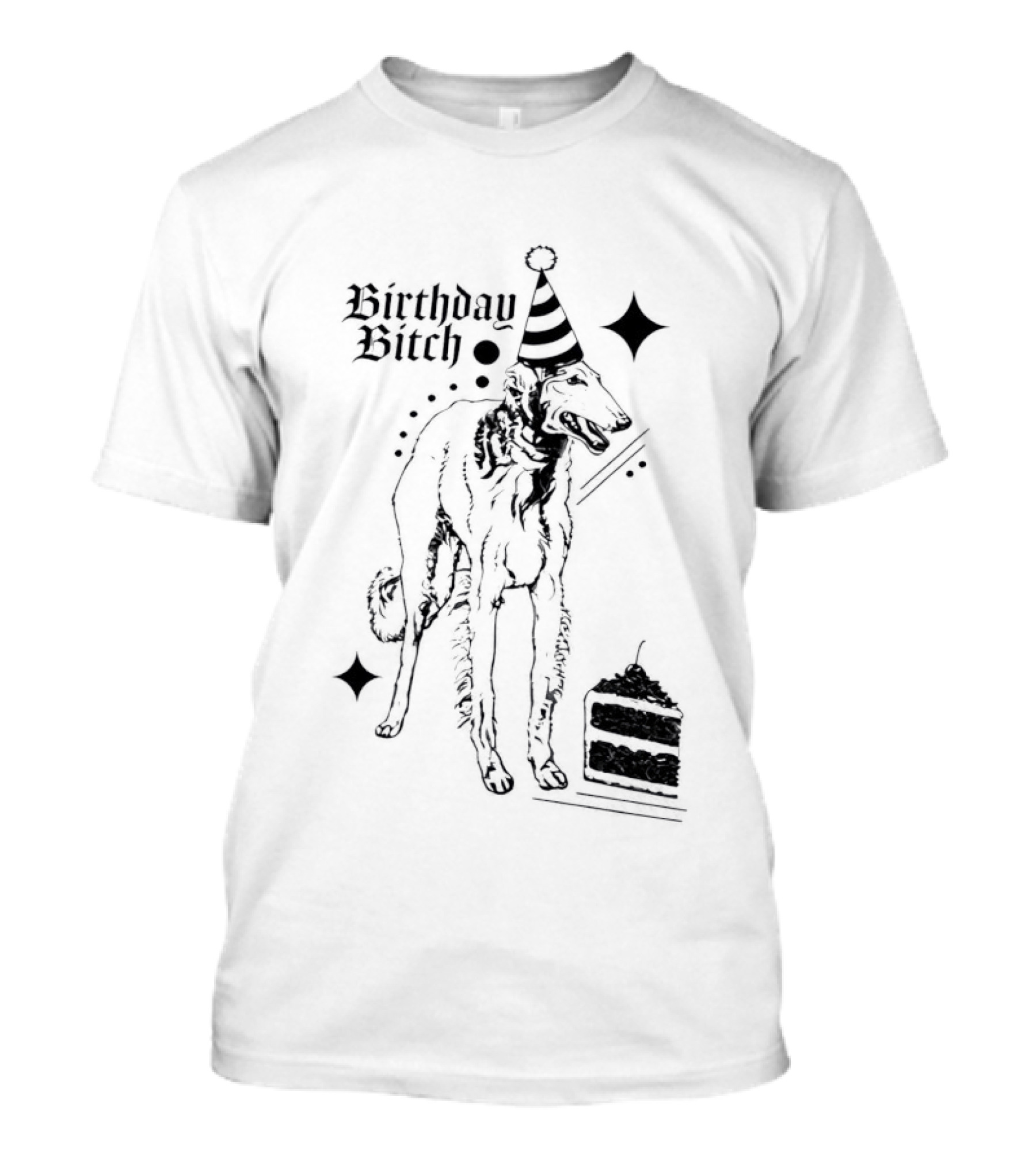 Birthday Bitch Dog Party Hat Cake Celebration Fun T-Shirt