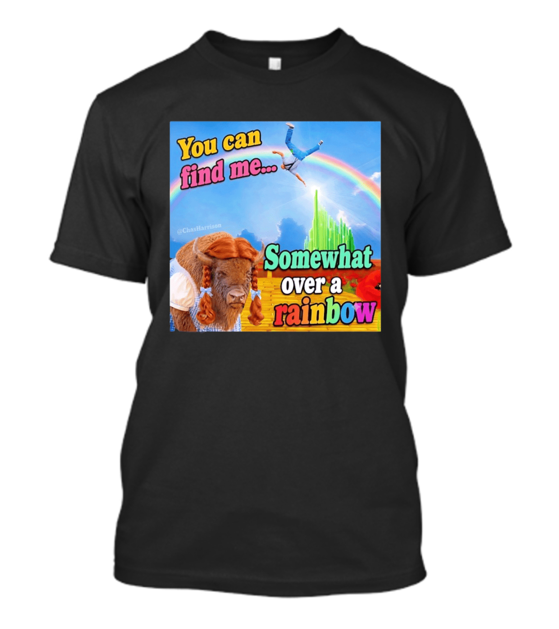You Can Find Me Somewhat Over A Rainbow Bison Meme T-Shirt