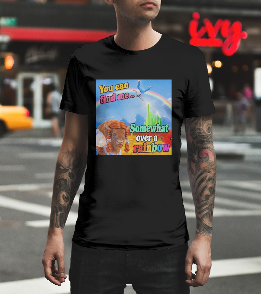 You Can Find Me Somewhat Over A Rainbow Bison Meme T-Shirt