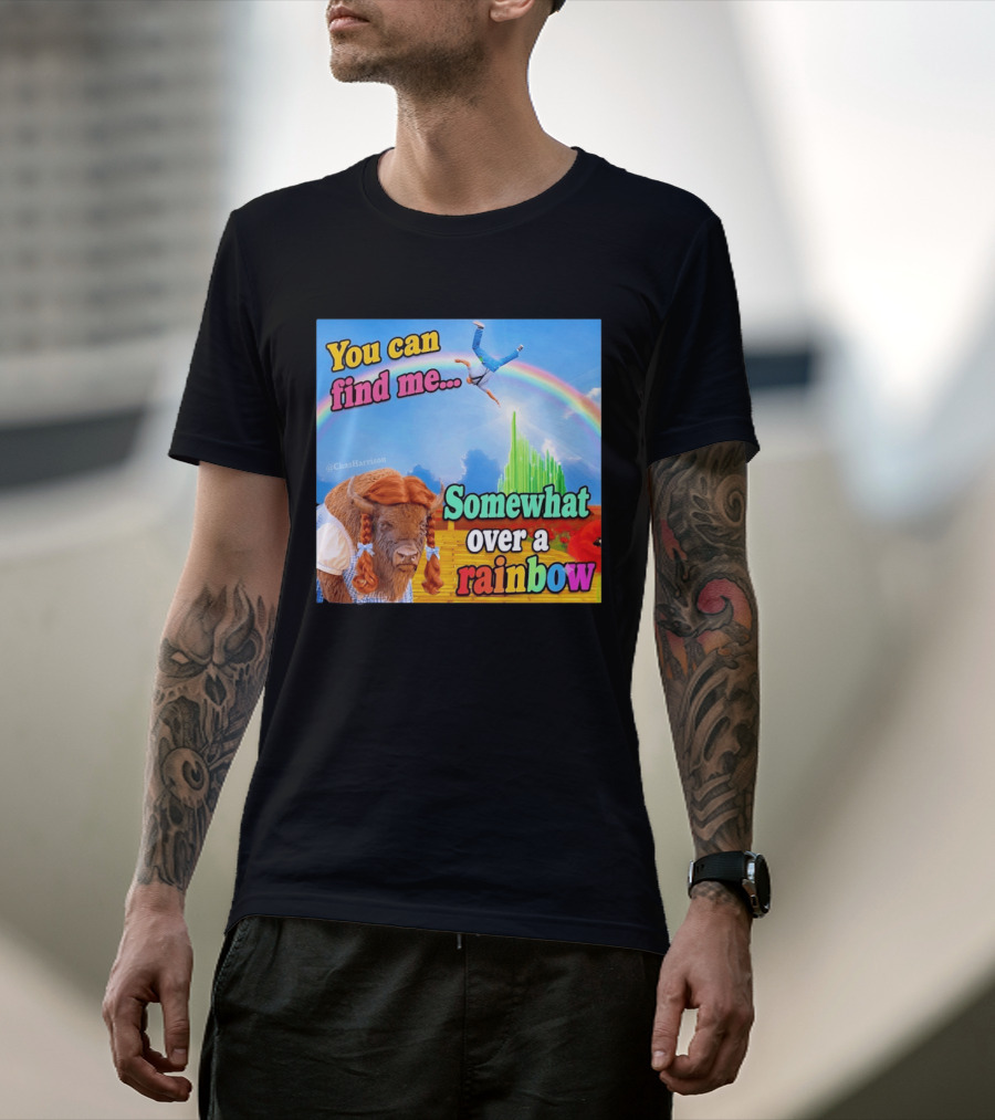 You Can Find Me Somewhat Over A Rainbow Bison Meme T-Shirt