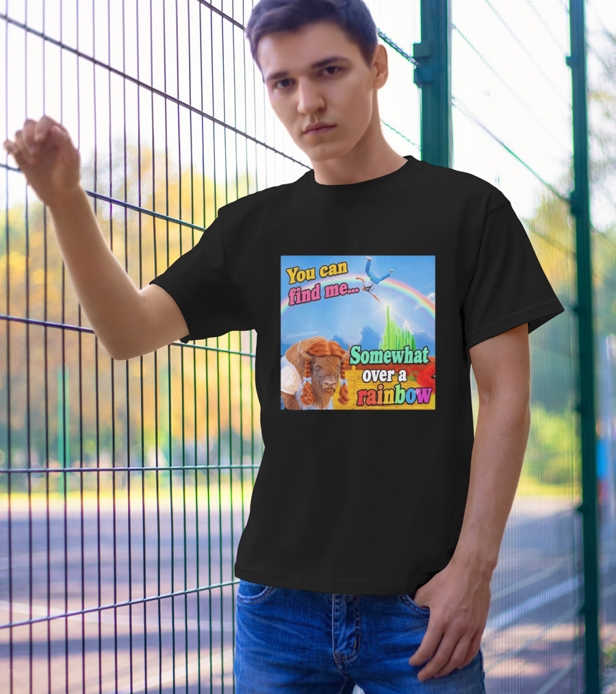 You Can Find Me Somewhat Over A Rainbow Bison Meme T-Shirt