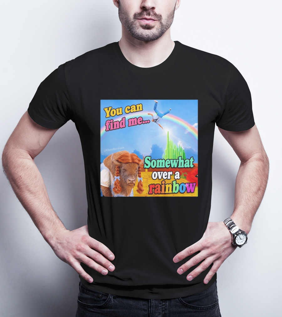 You Can Find Me Somewhat Over A Rainbow Bison Meme T-Shirt