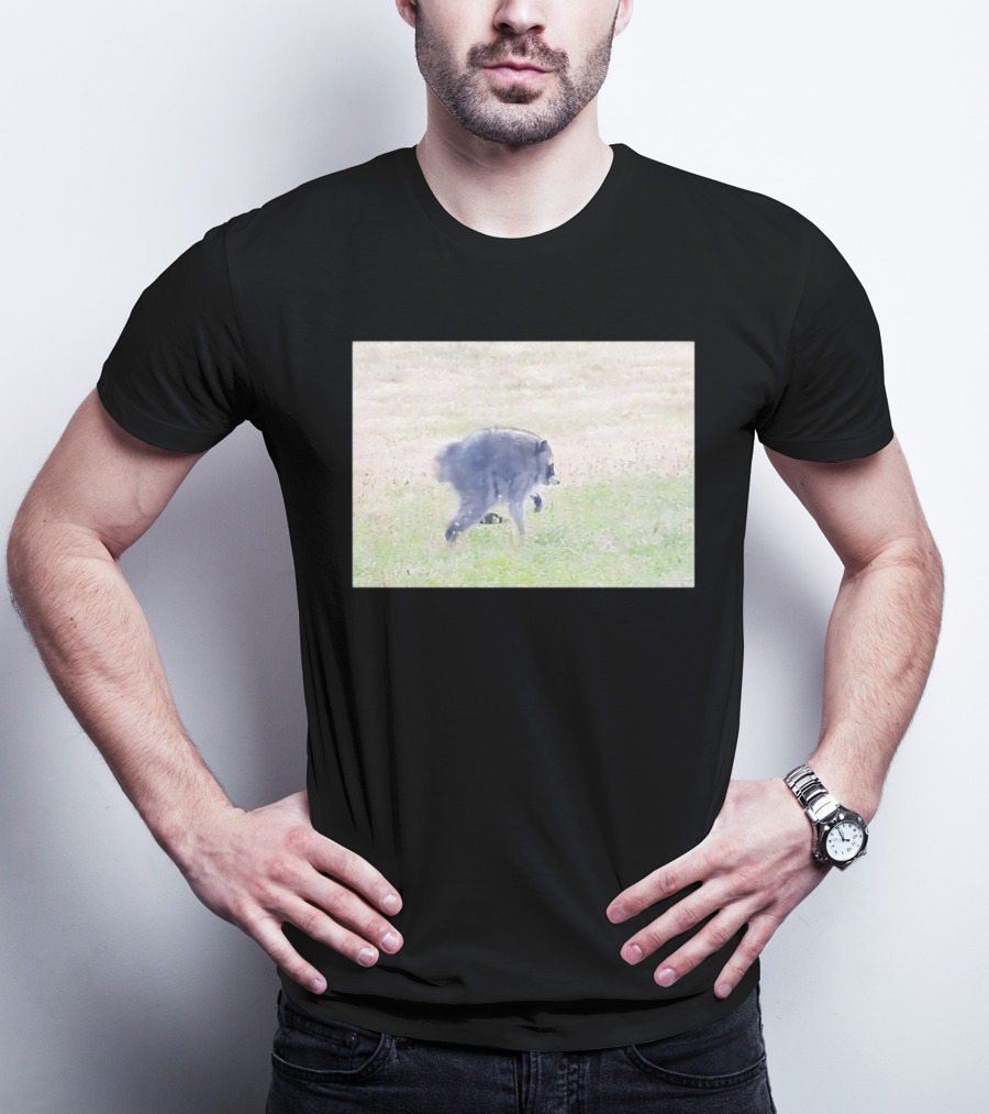 Jimothy Raccoon Walking In Grassy Field Wildlife Scene T-Shirt