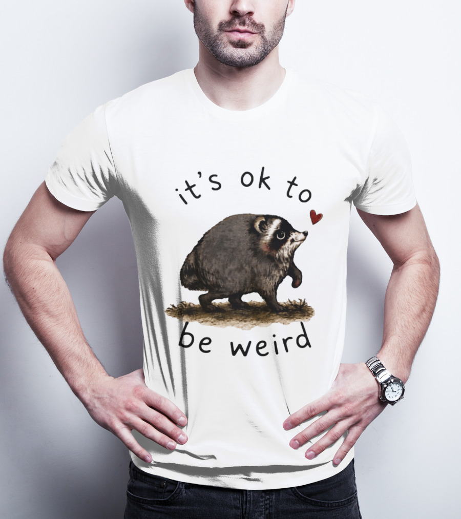 Raccoon It's Ok To Be Weird Cute Heart T-Shirt