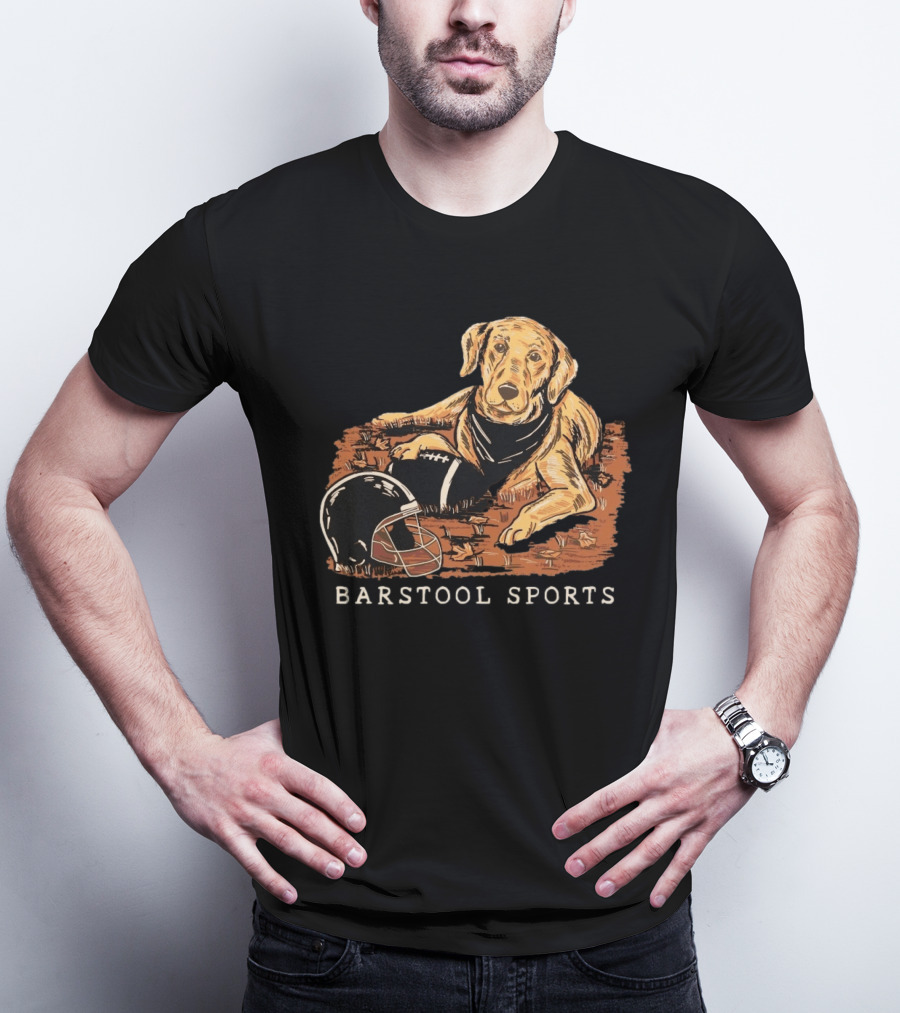 Barstool Sports Fall Football Dog With Helmet And Leaves T-Shirt