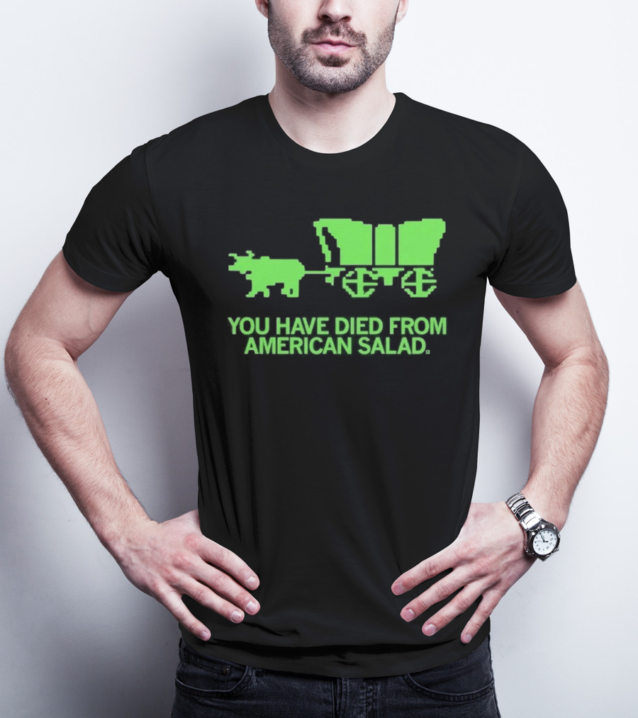 You Have Died From American Salad Ox Cart Retro Gaming Spoof T-Shirt
