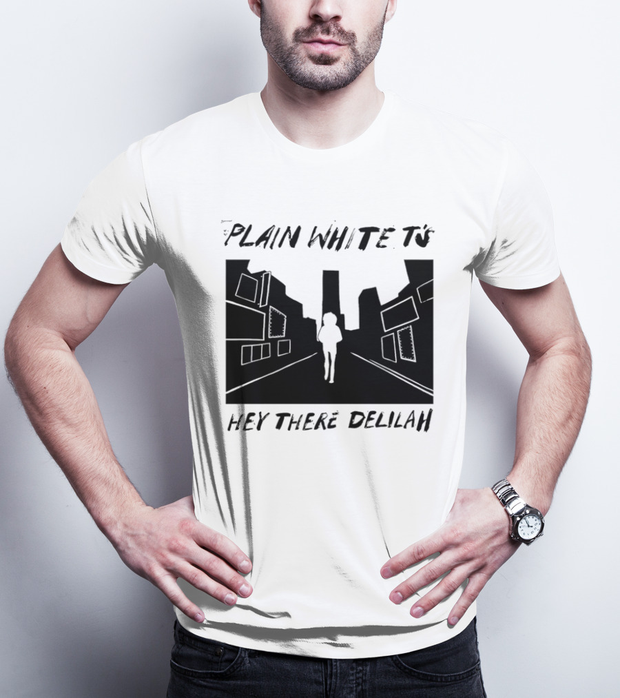 Plain White T's Hey There Delilah City T-Shirt