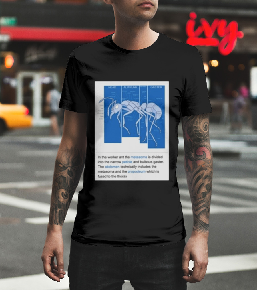 Head Alitrunk Gaster Metasoma Petiole Anatomy Of An Ant T-Shirt