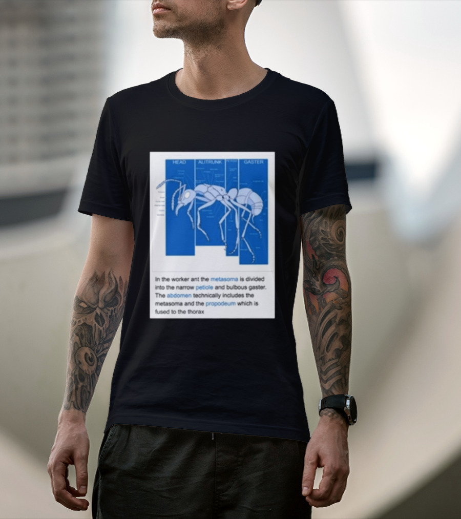 Head Alitrunk Gaster Metasoma Petiole Anatomy Of An Ant T-Shirt