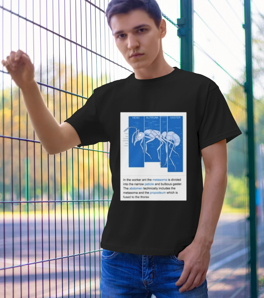 Head Alitrunk Gaster Metasoma Petiole Anatomy Of An Ant T-Shirt