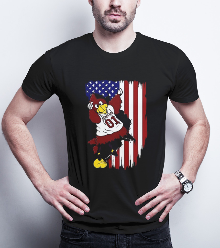 South Carolina Gamecocks Carolina 01 USA Flag We The People T-Shirt