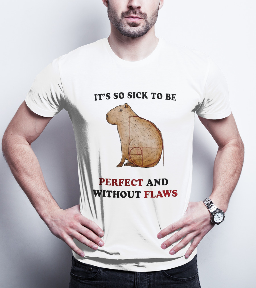 Capybara It's So Sick To Be Perfect And Without Flaws Fibonacci Spiral T-Shirt