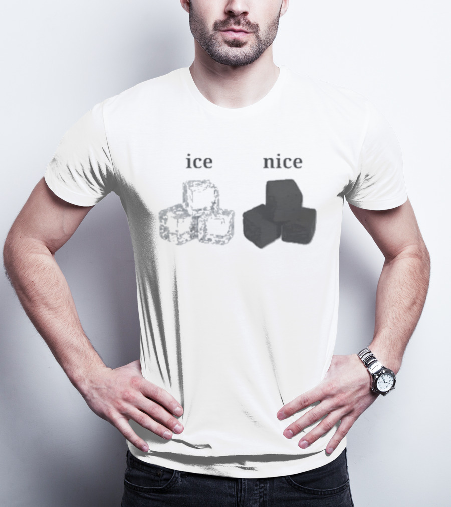 Ice Vs Nice Cubes Playful Word T-Shirt