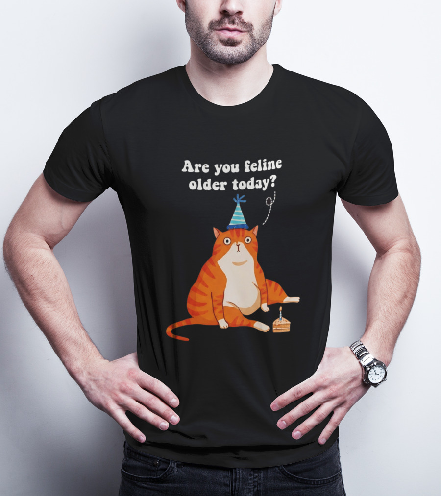 Are You Feline Older Today Birthday Cat With Party Hat And Cake T-Shirt