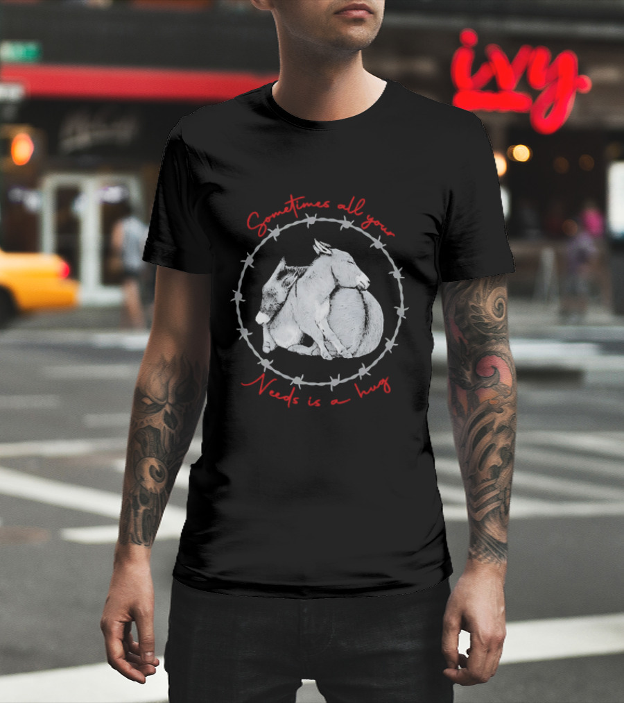 Sometimes All Your Needs Is A Hug Cuddling Donkeys Barbed Wire T-Shirt