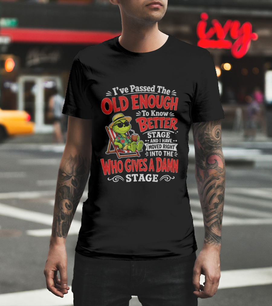 Grinch I've Passed The Old Enough To Know Better Stage Moved Right Into The Who Gives A Damn Stage T-Shirt