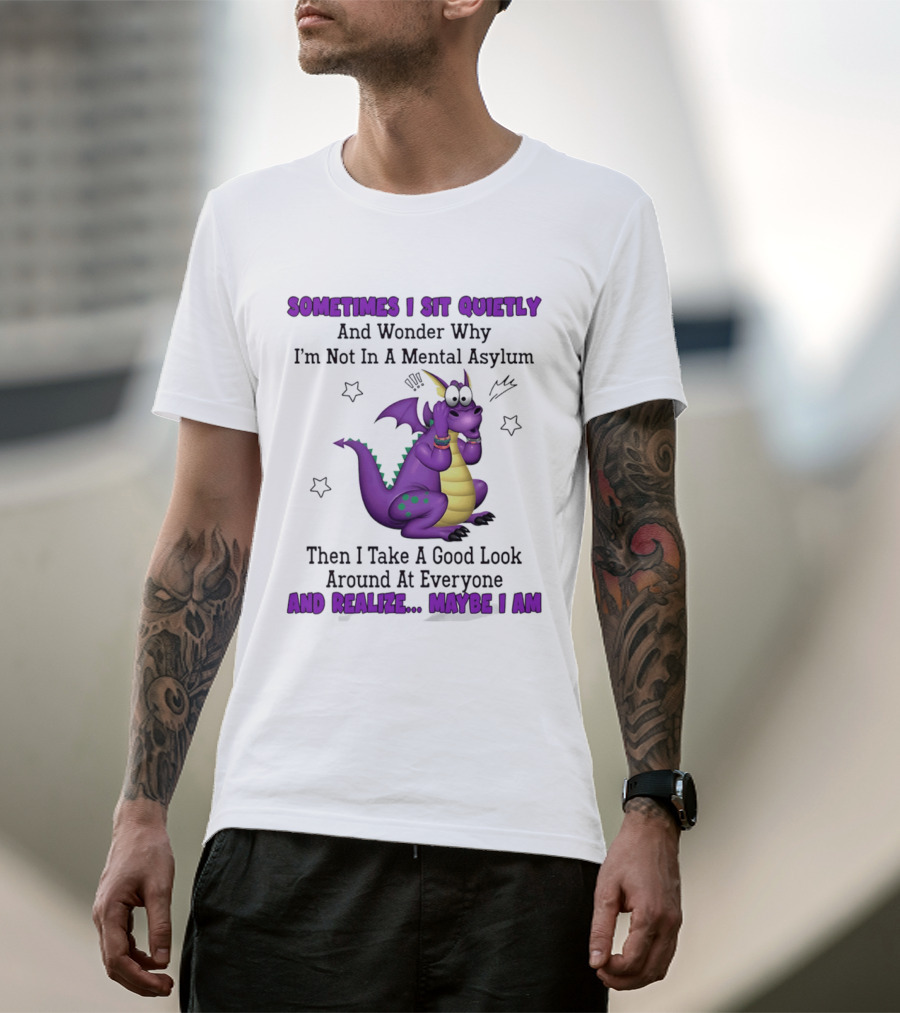 Sometimes I Sit Quietly Wonder Why I'm Not In A Mental Asylum Dragon Realize Maybe I Am T-Shirt