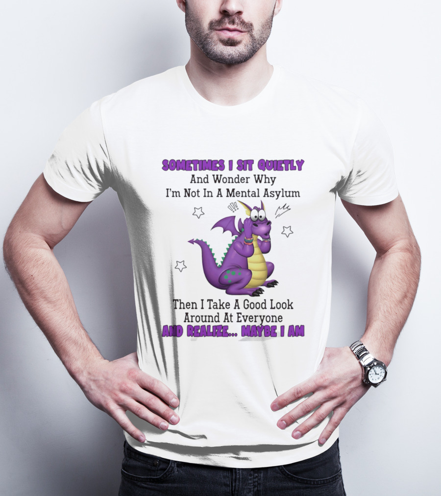 Sometimes I Sit Quietly Wonder Why I'm Not In A Mental Asylum Dragon Realize Maybe I Am T-Shirt